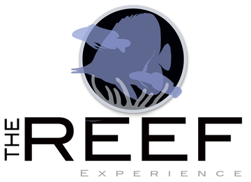 Contact – The Reef Experience