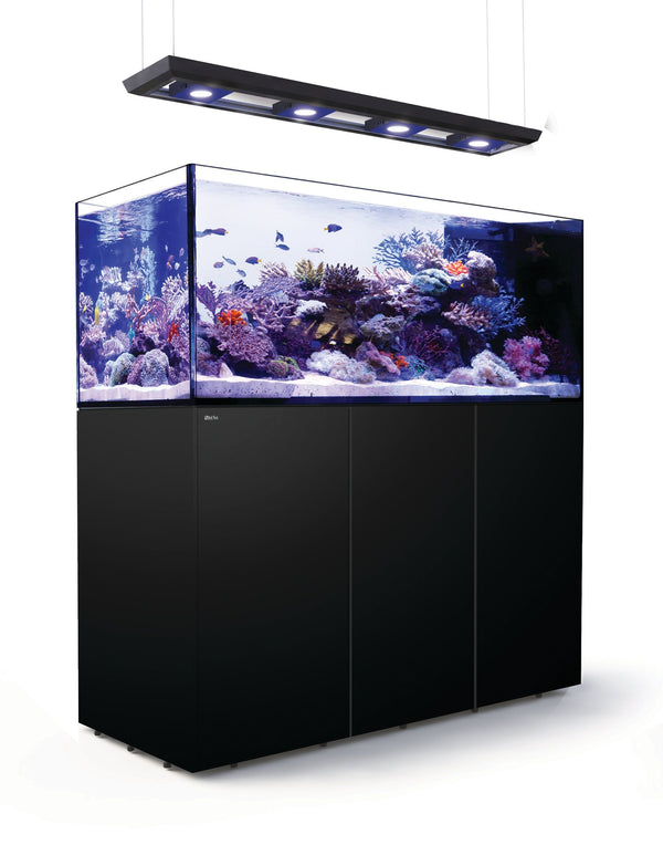Red Sea Reefer Peninsula 650 Deluxe 4 X ReefLED 90 – The Reef Experience